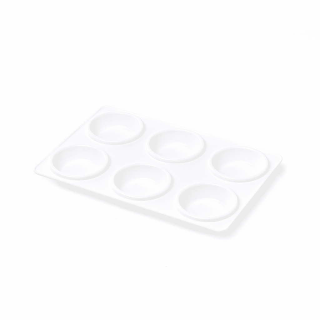 Plastic Palette (6 Wells) – TEXMEN International Corp.